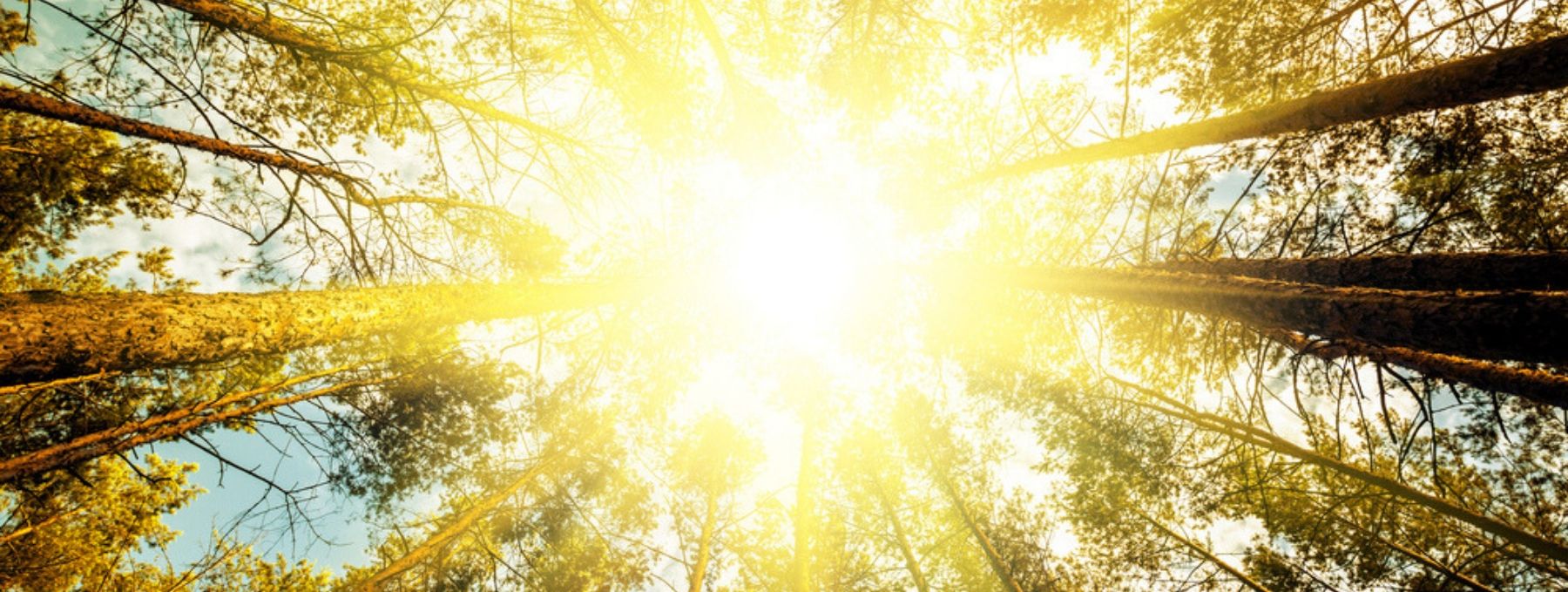 Welcome [wholeheartedlife.ca]